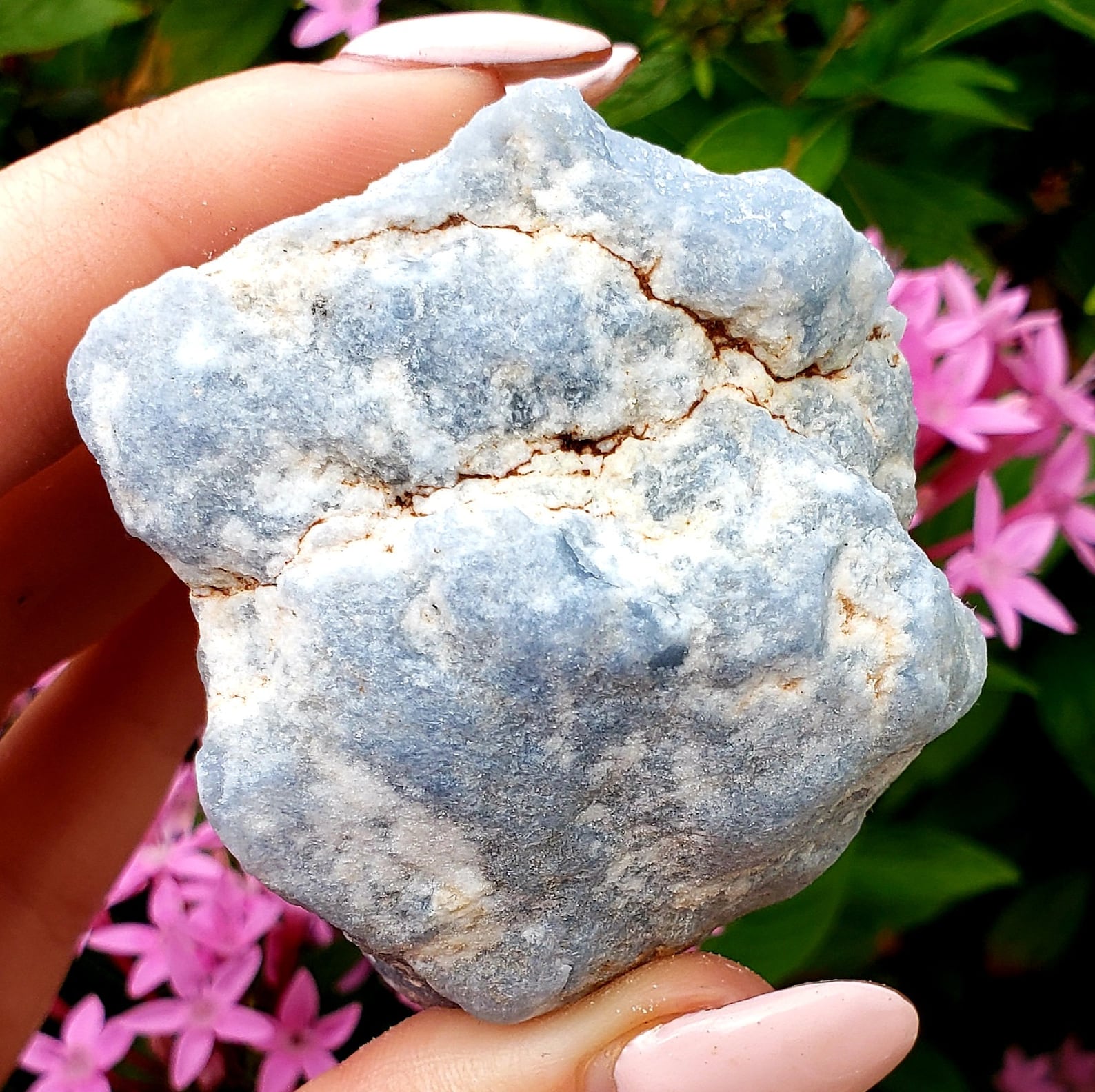 Angelite Natural Rough Raw Crystal Healing Gemstone Spiritual - Etsy