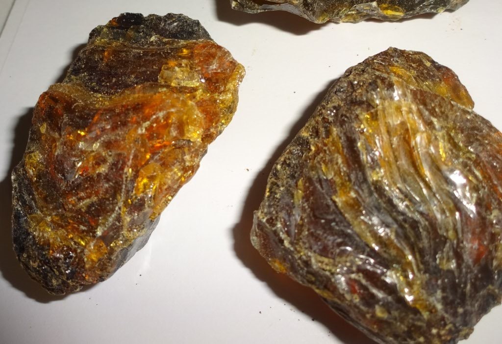 Amber Genuine Petrified fossilized Tree sap from Sumatra | Etsy