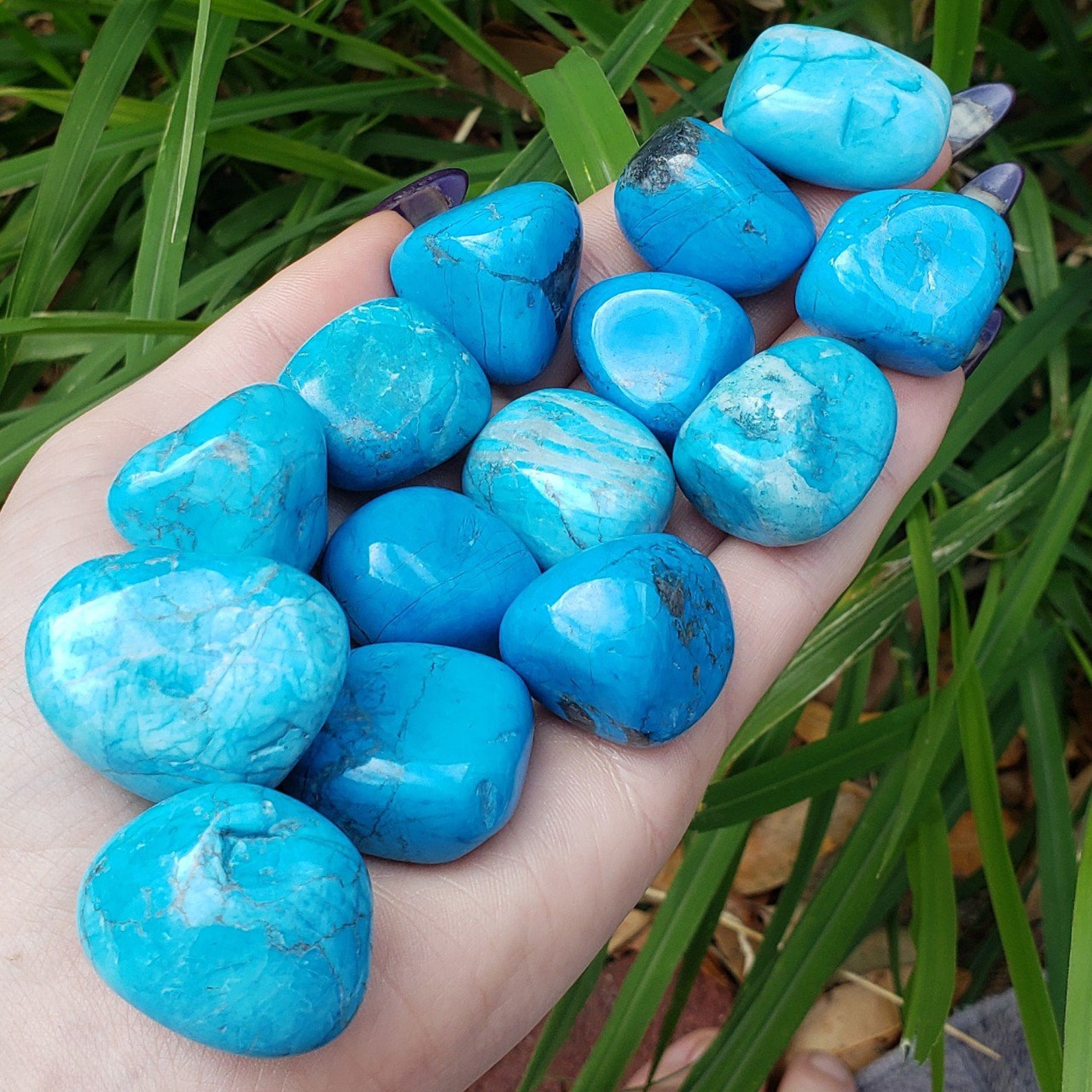 Blue Howlite Tumbled & Hand Polished Natural Crystal Healing ...
