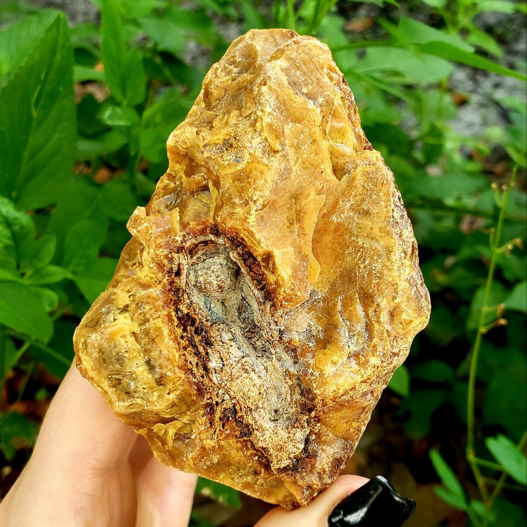 Amber Genuine Petrified Fossilized Tree Sap From Sumatra, Indonesia ...