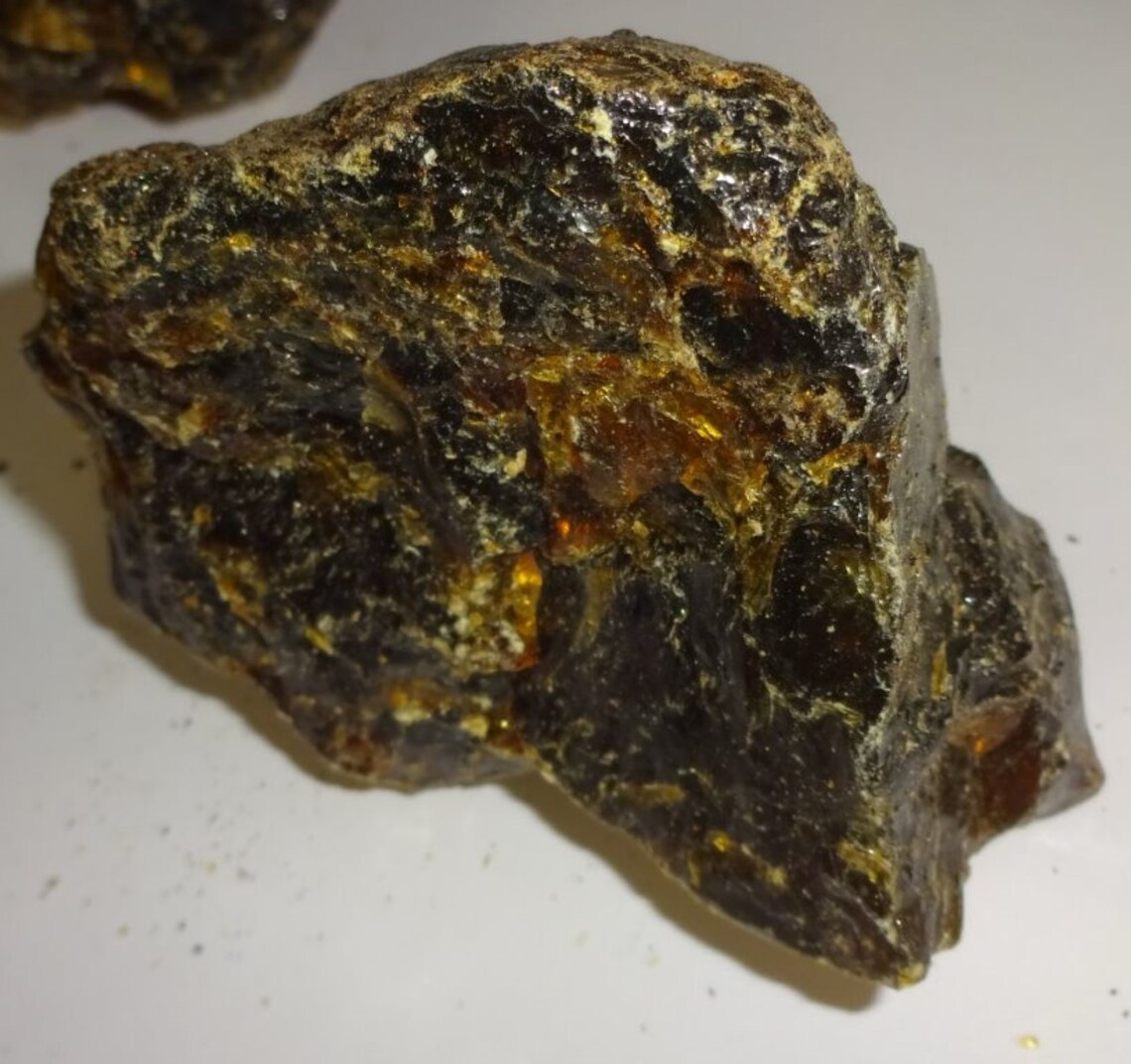 Amber Genuine Petrified fossilized Tree sap from Sumatra | Etsy