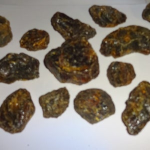 Amber - Genuine Petrified Fossilized Tree Sap From Sumatra, Indonesia ...