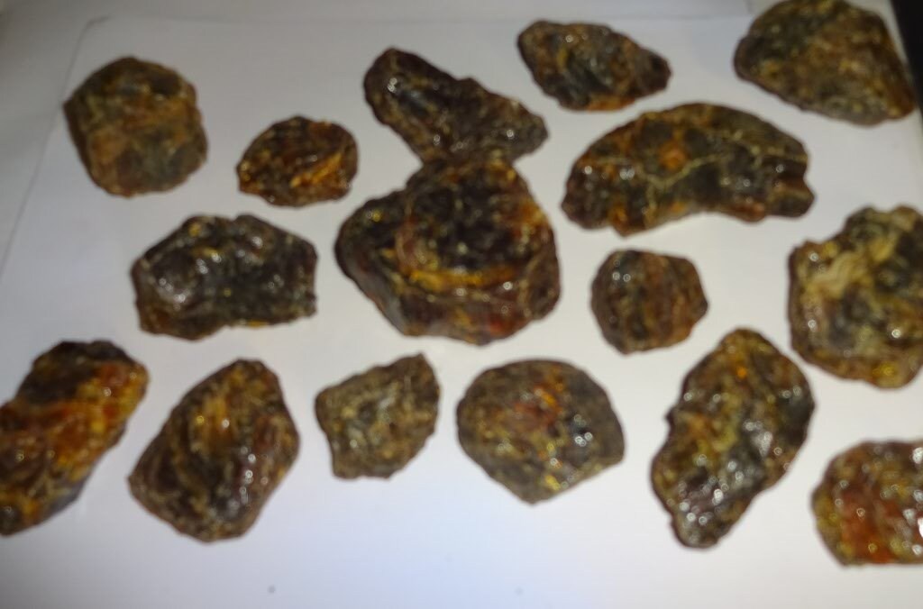 Amber Genuine Petrified fossilized Tree sap from Sumatra | Etsy