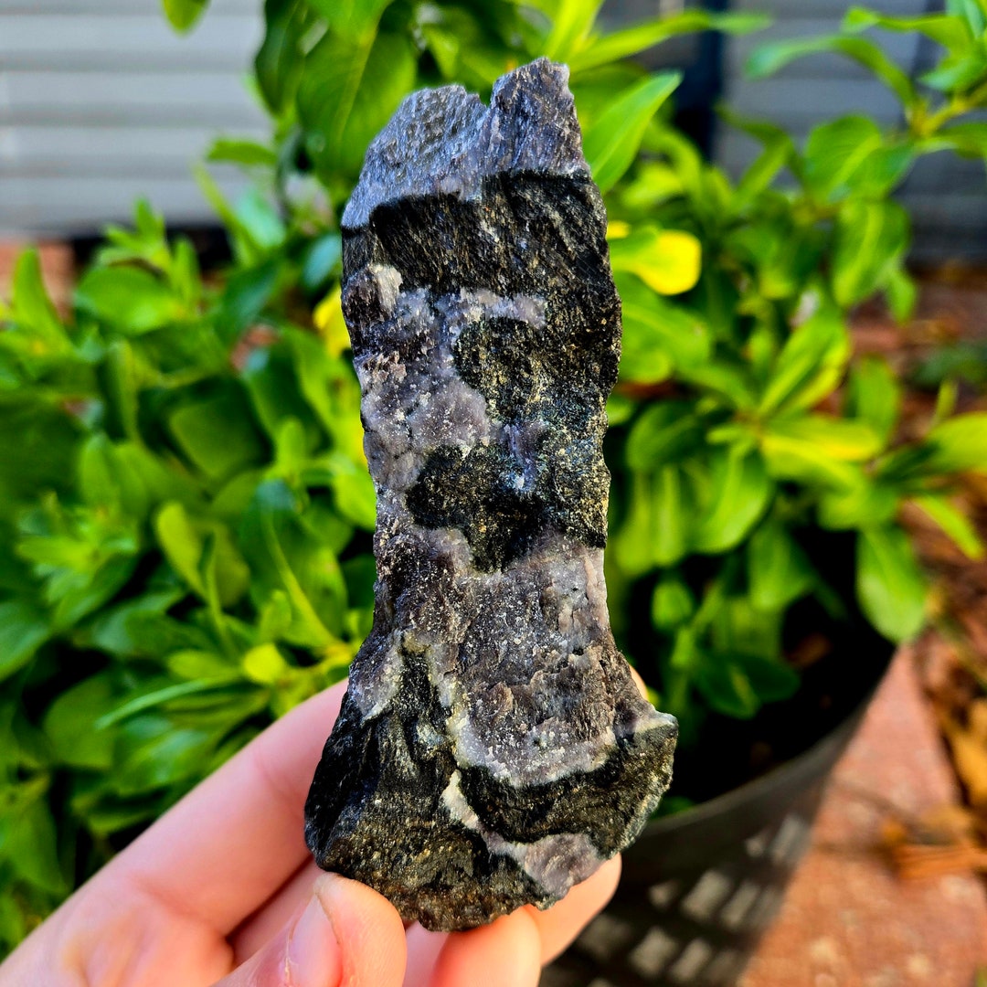 Mystic Merlinite/indigo Gabbro A Graded Cluster Druzy Raw Natural Rough ...
