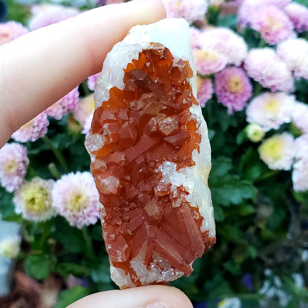 Red Dragon Quartz Multi Point Cluster Red Phantom Quartz Red - Etsy