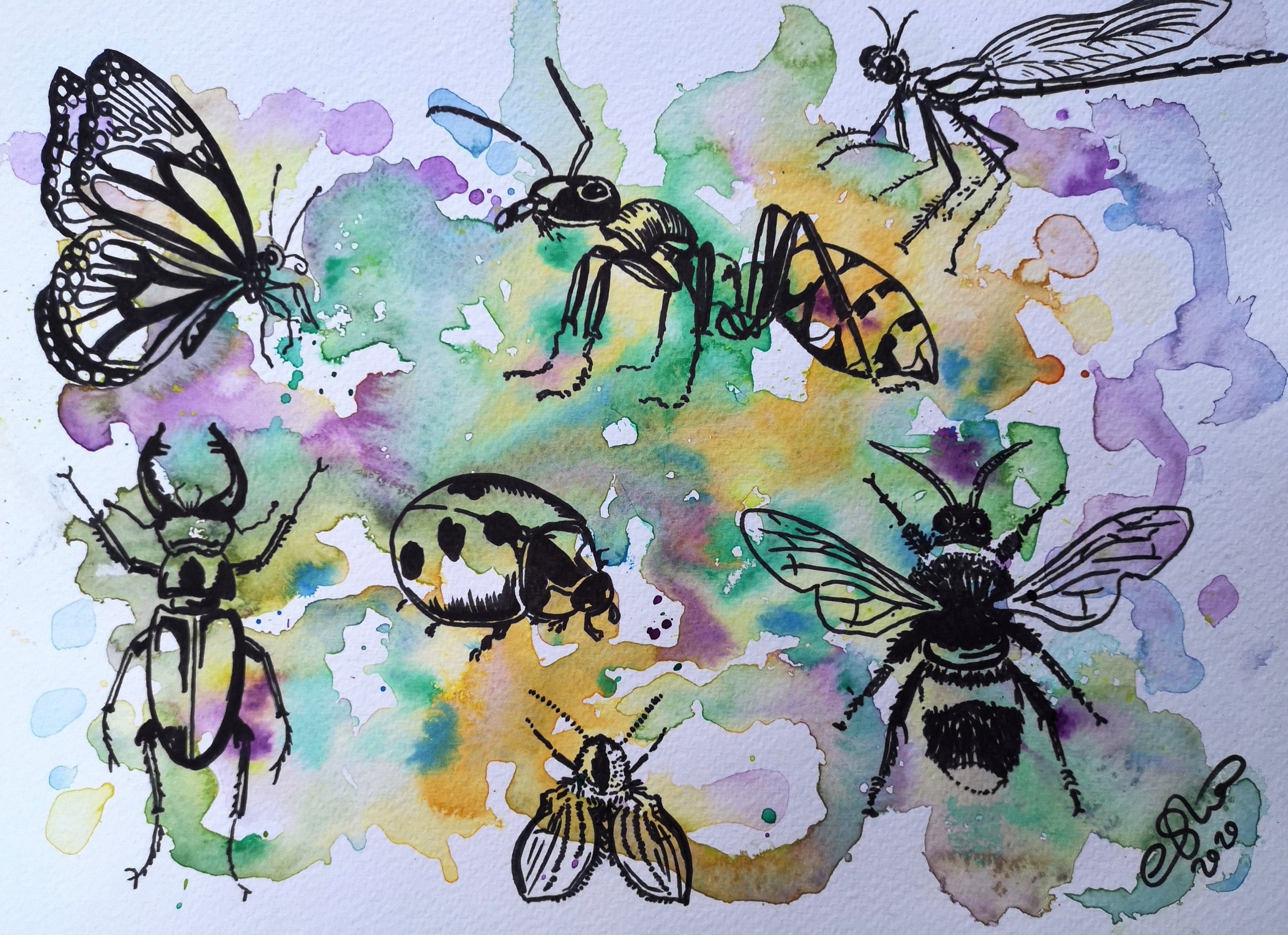Garden bugs insects Original A4 Artwork Pen and | Etsy