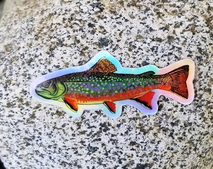 Holographic Brook Trout Sticker | Die Cut Vinyl Sticker | Fishing ...