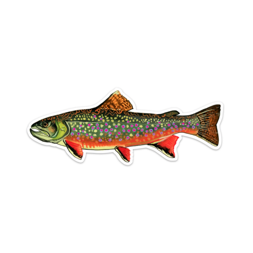 Brook Trout Vinyl Decal Bumper Sticker Brookie Large Fish Original Art ...
