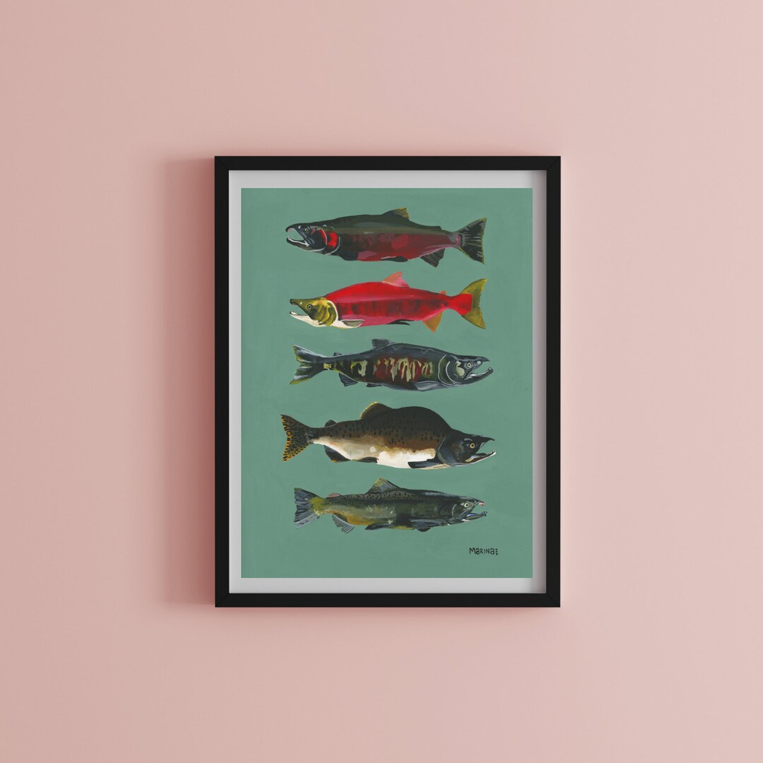 Salmon Art | Angler | 8x10 | 5x7| Fish Species | Spawning Pacific ...