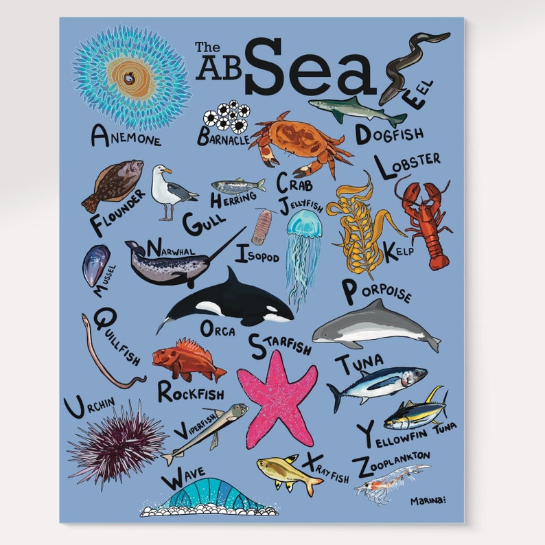 Digital Download Sealife ABC Chart | Alphabet | Ocean Animals ...