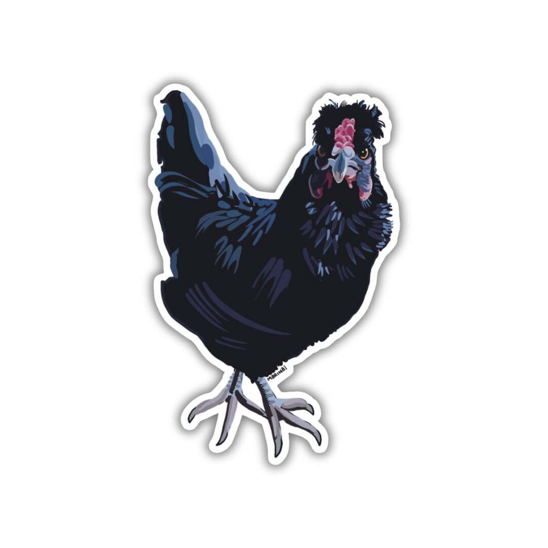 Black Chicken Sticker – Funny Farm Animal Vinyl Decal – Waterproof ...