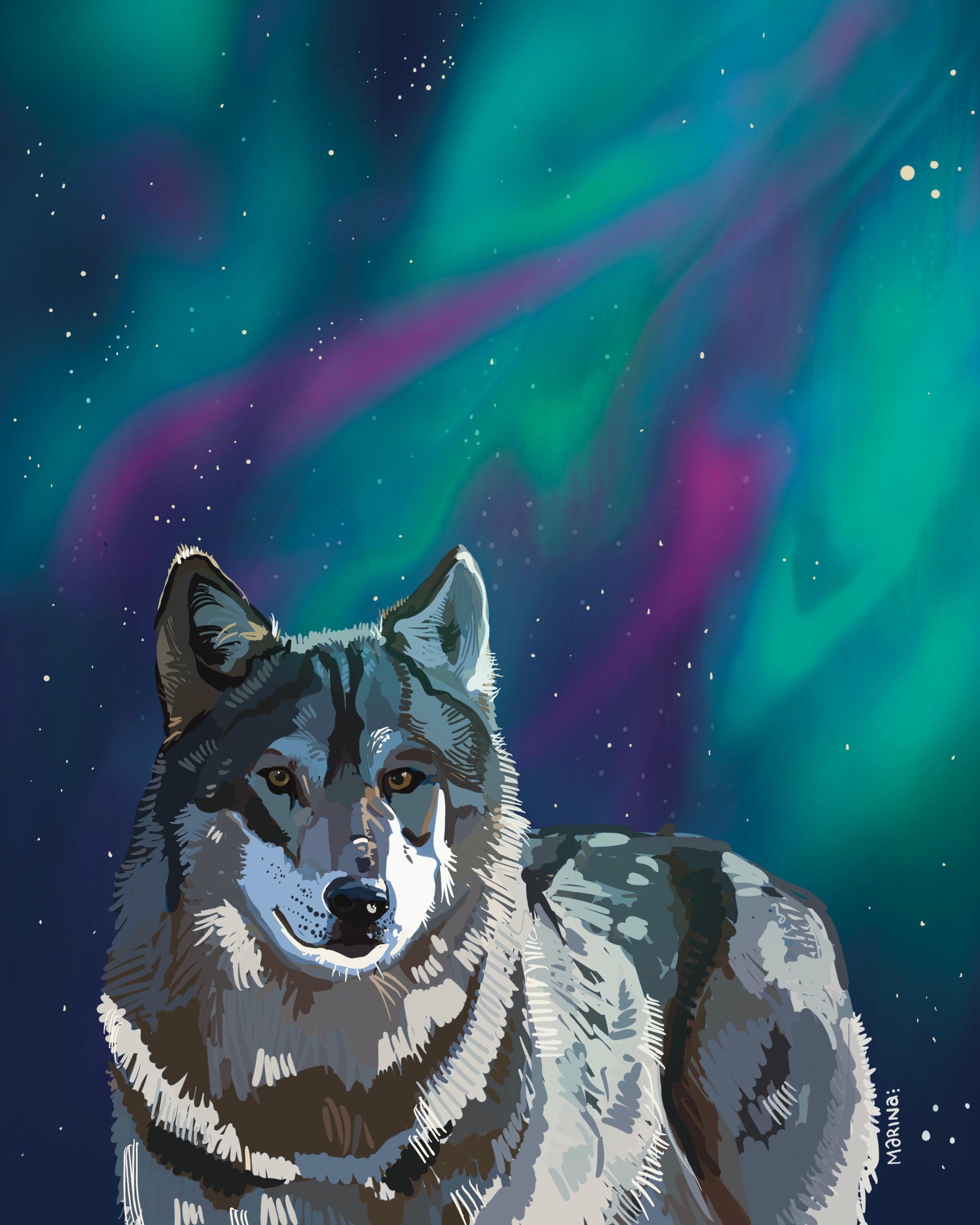 Aurora Borealis Wolf Print: Northern Lights Wildlife Art (8x10) - Etsy
