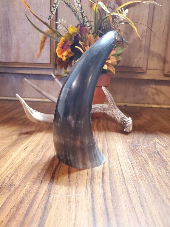 Home & Living Cow Horn Stand Horn Gothic Decor Taxidermy Real Horn Bull ...