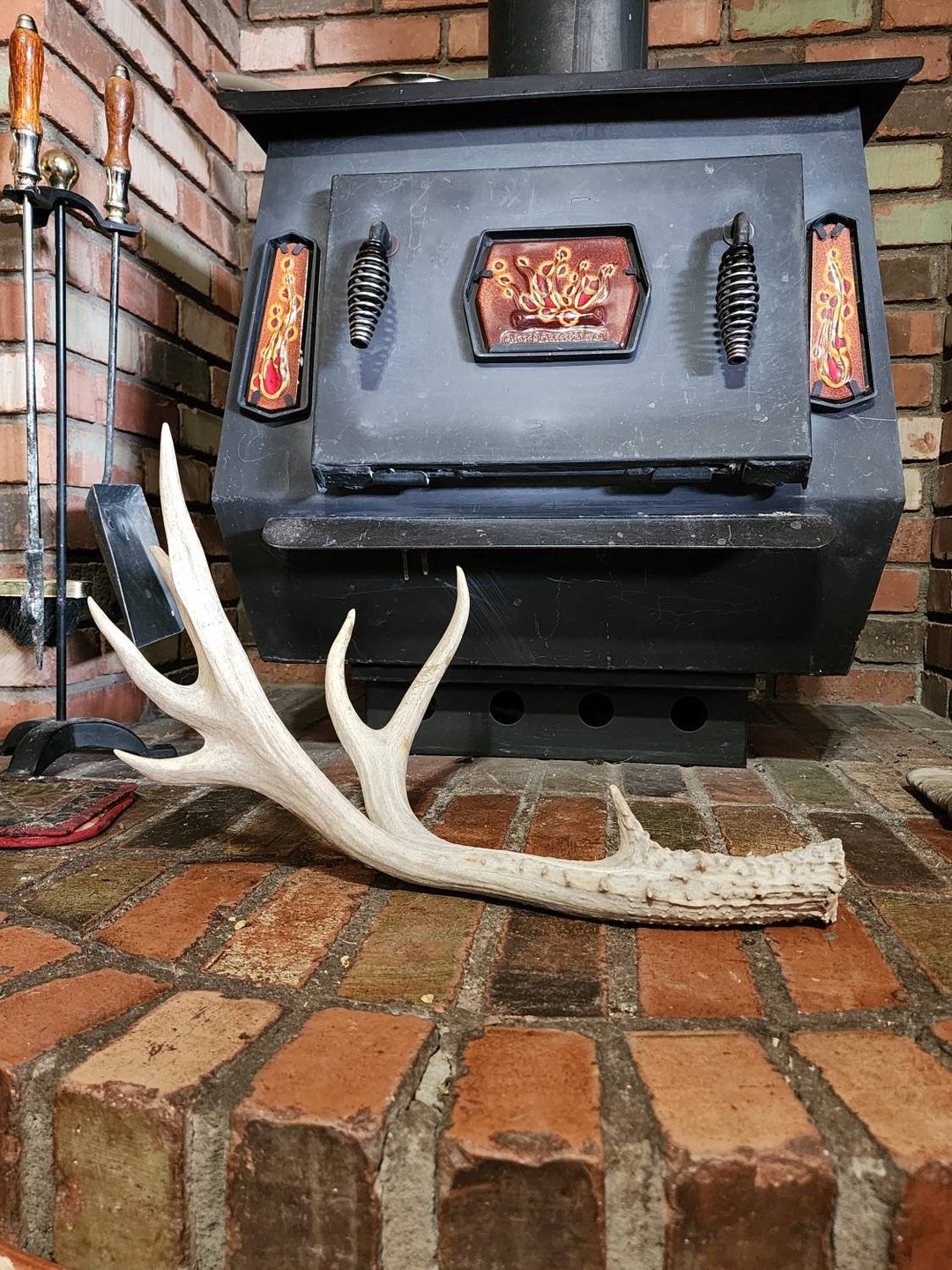 Real NONTYPICAL Deer Antler Mule Deer Antlers, Real Animal Bones; Log ...