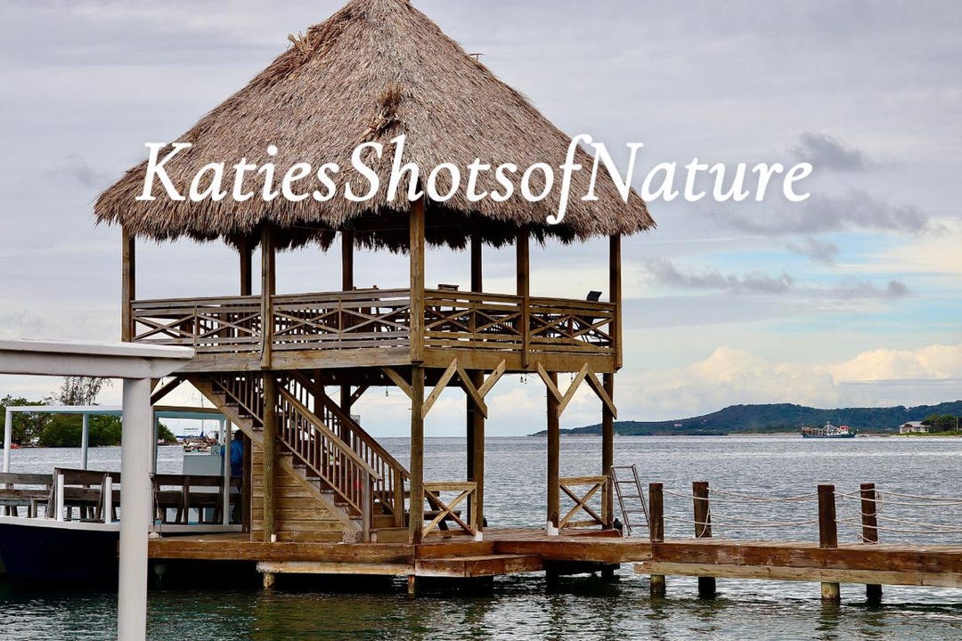 Honduras Tiki Shack on the Ocean Photograph - Etsy