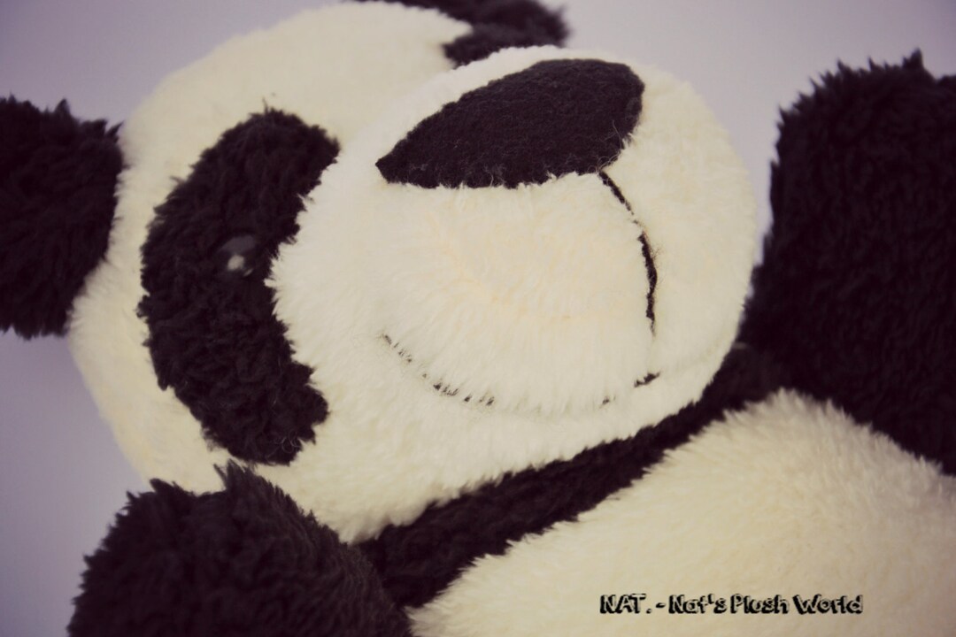 Plush Panda ANDI - Etsy
