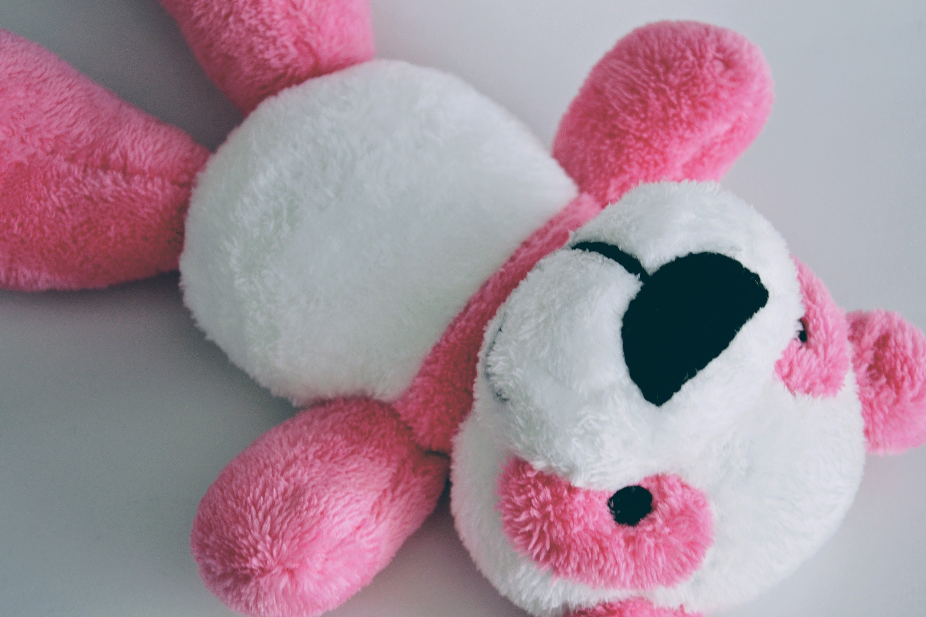 Plush Panda ANDI - Etsy