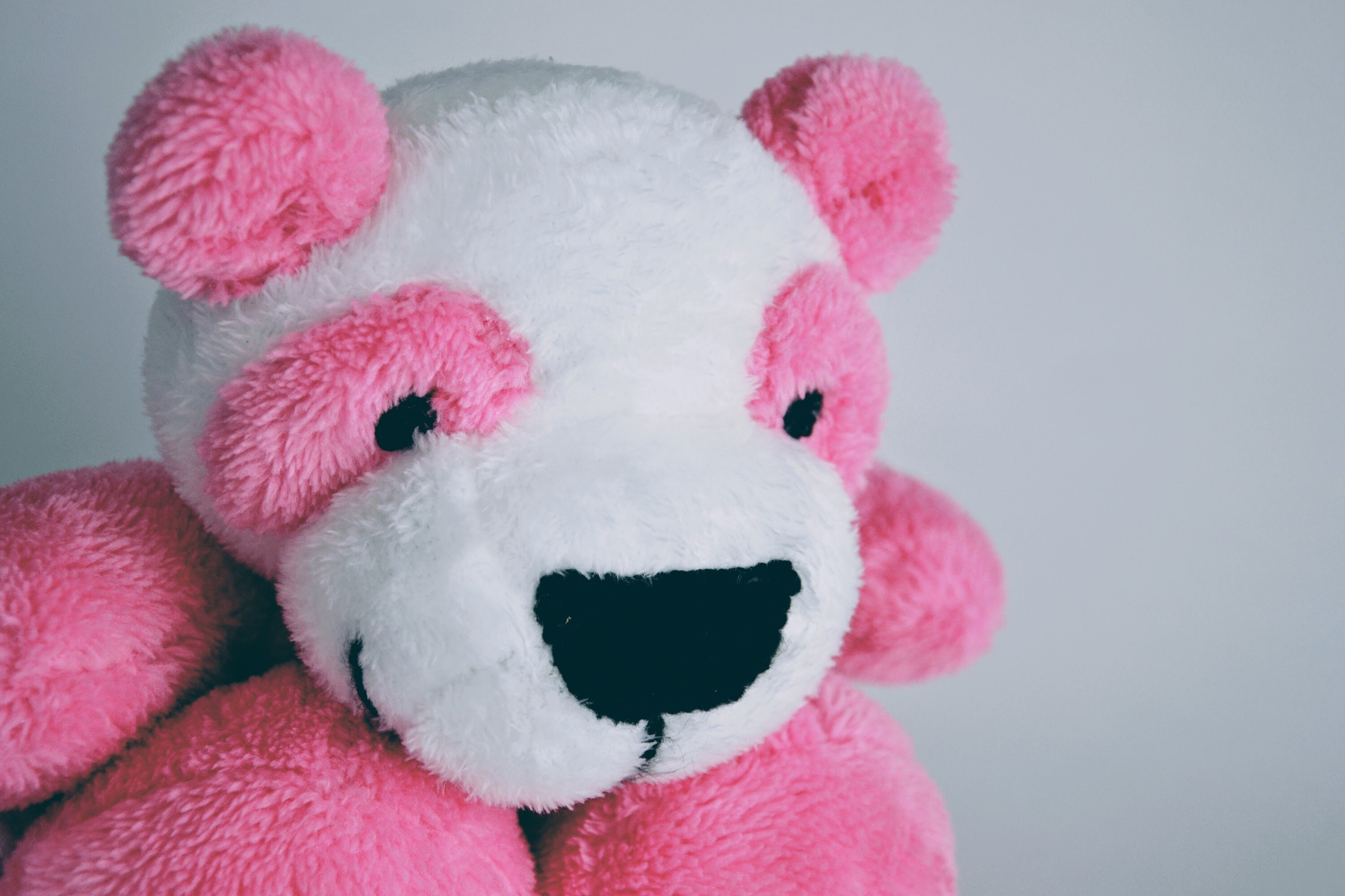 Plush Panda ANDI - Etsy