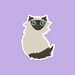 Himalayan Cat Sticker or Magnet Persian Cat Vinyl Weatherproof Decal 3 ...