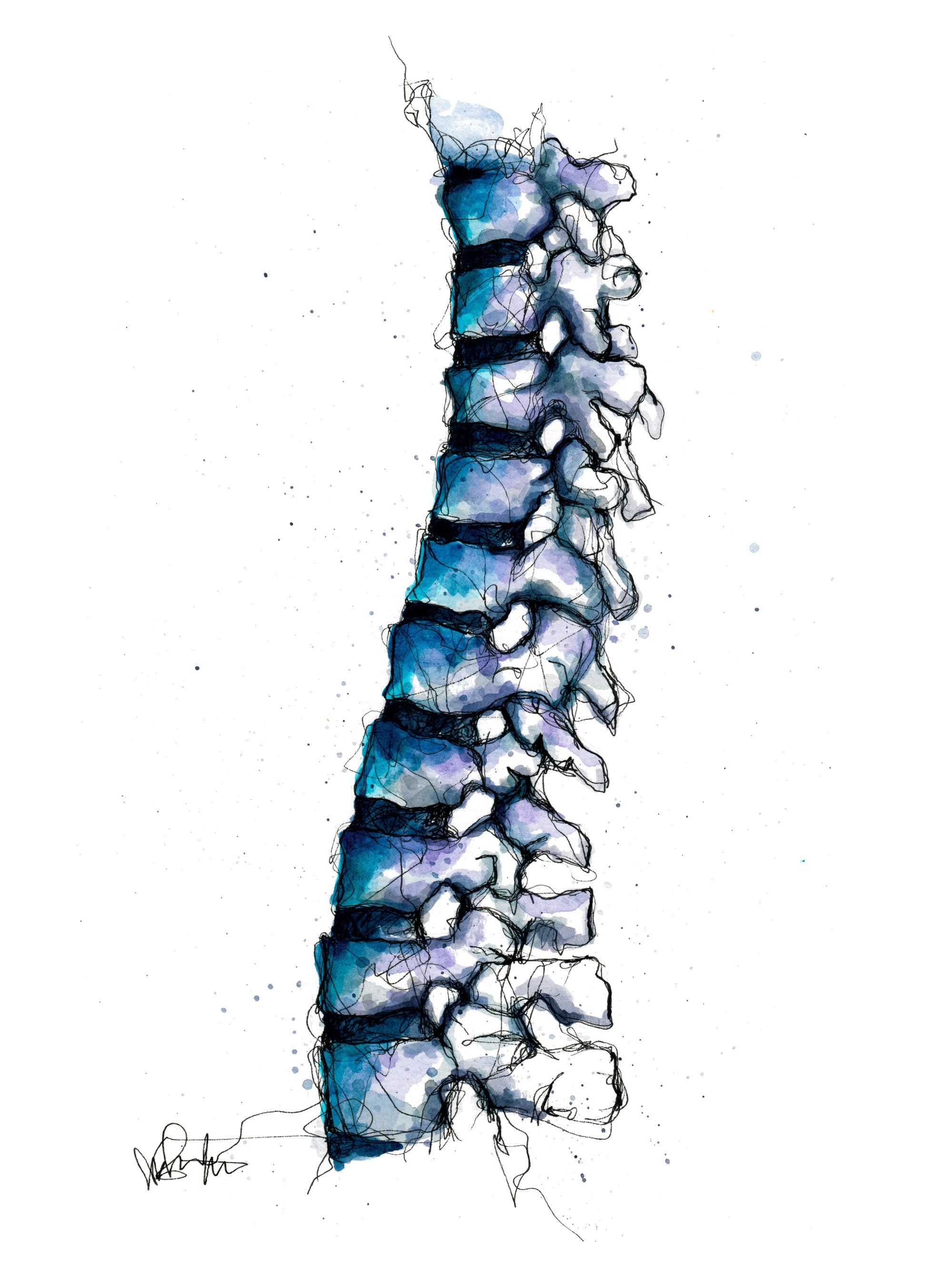 Artistic Spine Drawing