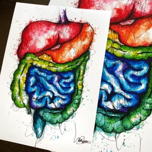 Intestines Art Print - Watercolor and Ink Painting - GI Digestive Tract ...