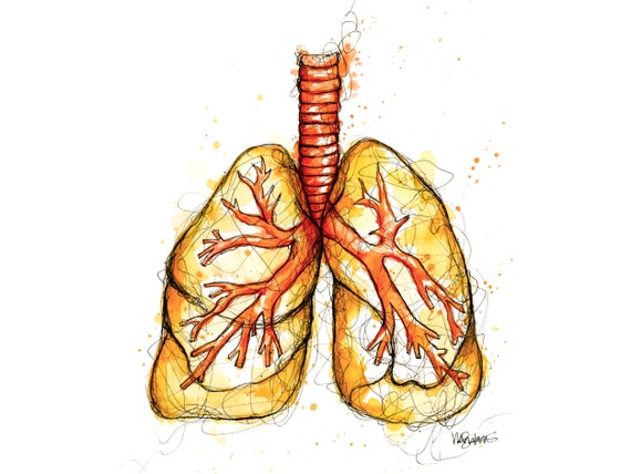 Lungs Painting Watercolor Ink Lungs Giclée Art Print | Etsy