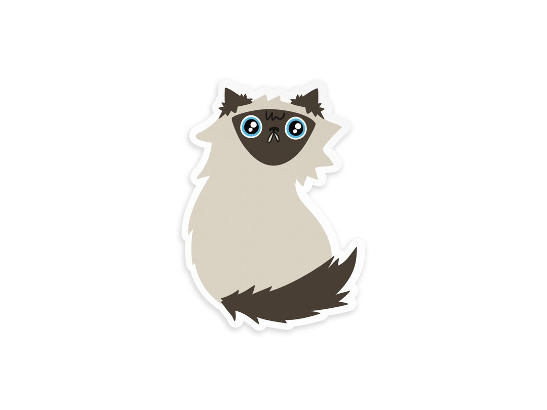 Himalayan Cat Sticker or Magnet Persian Cat Vinyl Weatherproof Decal 3 ...