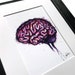 Brain Painting - Unique Anatomy Art Print - Watercolor and Ink Painting ...