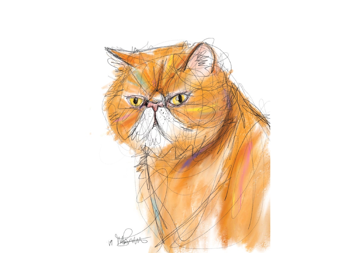 Grumpy Cat Blank Card Printable Note Cards Exotic - Etsy