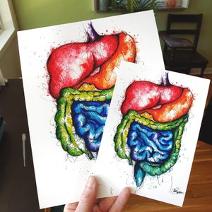 Intestines Art Print - Watercolor and Ink Painting - GI Digestive Tract ...