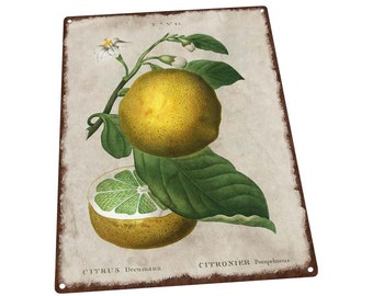 Metal Lemon Wall Decor - Etsy