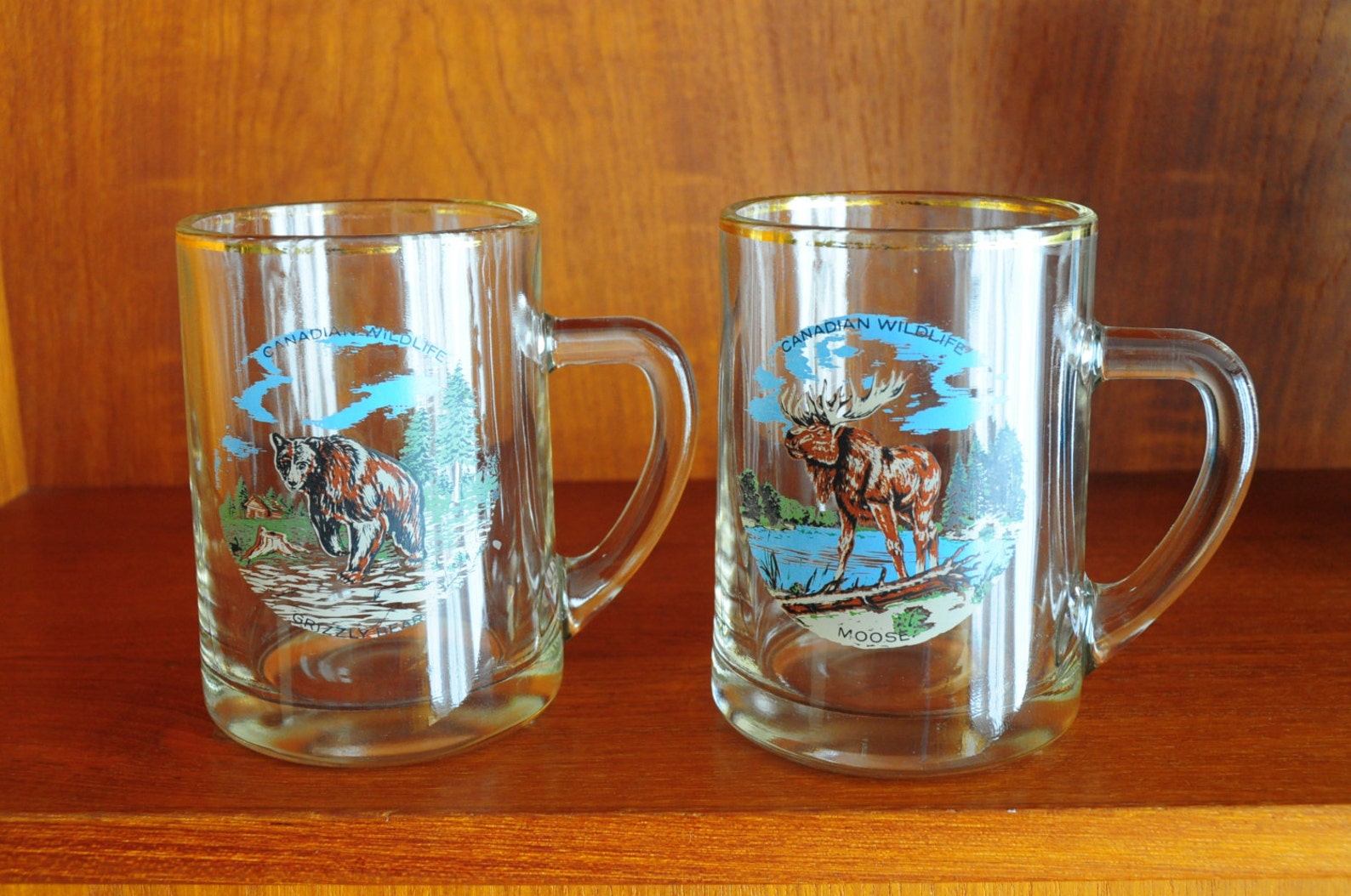 Canadian Wildlife Mugs/ Moose and Grizzly Bear/ Bold and Solid Mugs! - Etsy