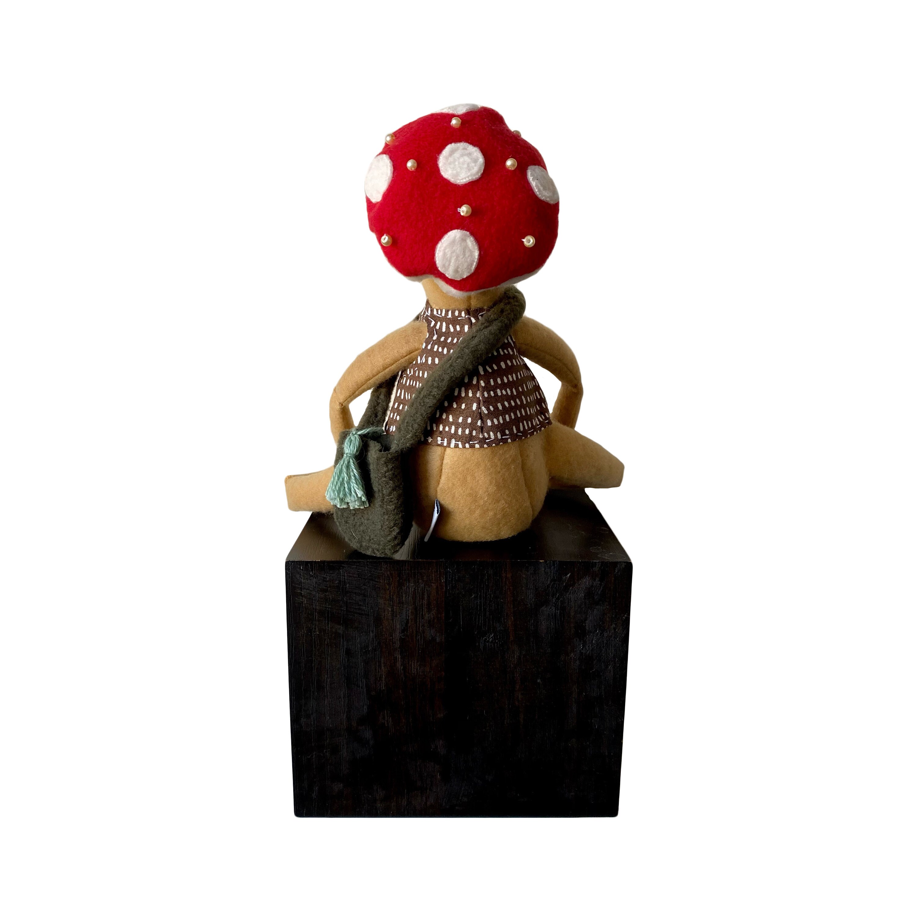 Magic Mushroom Guide | Plush Mushroom - Etsy