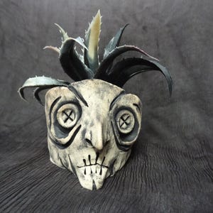 Small Handmade Witch Planter - Great for an Air Plant or Small ...