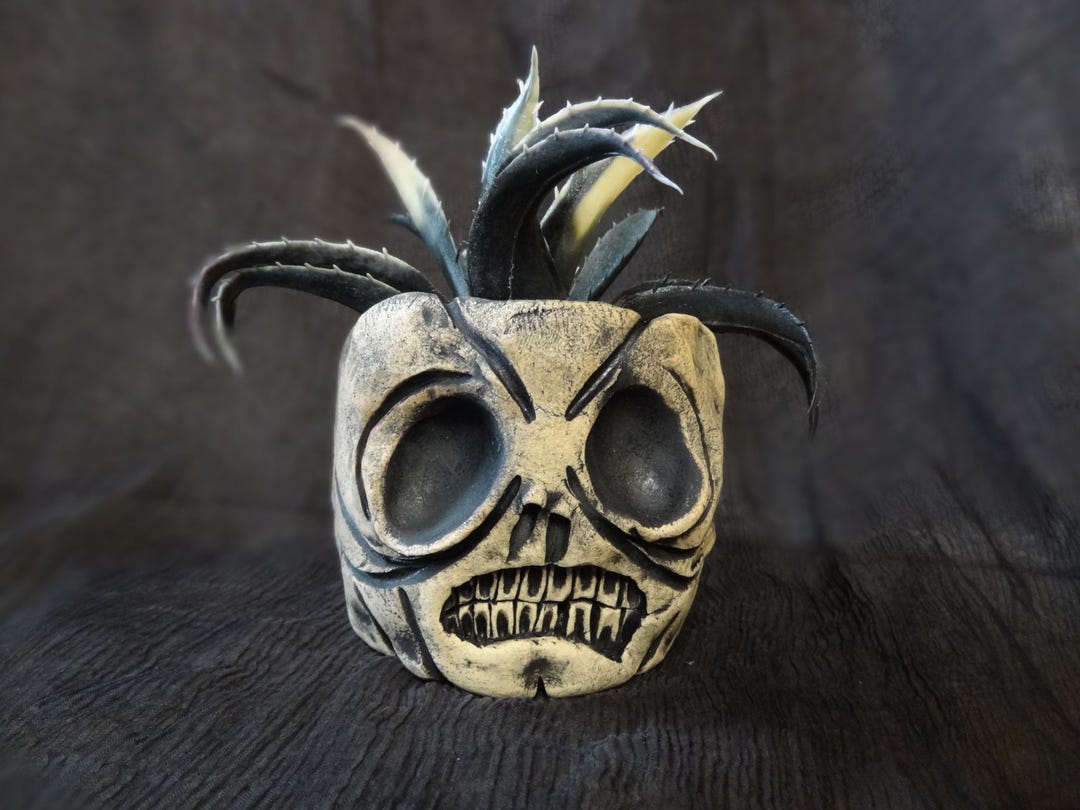 Small Mad Face Planter - Great for an Air Plant or Small Succulent ...
