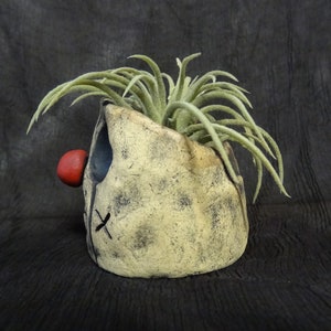 Small Creepy Clown Planter Great for an Air Plant or Small Succulent ...