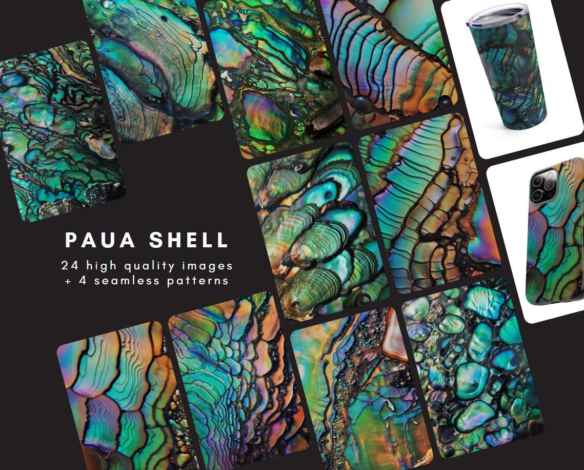 Abalone Shell Paua Images and Seamless Patterns DIGITAL Download File ...