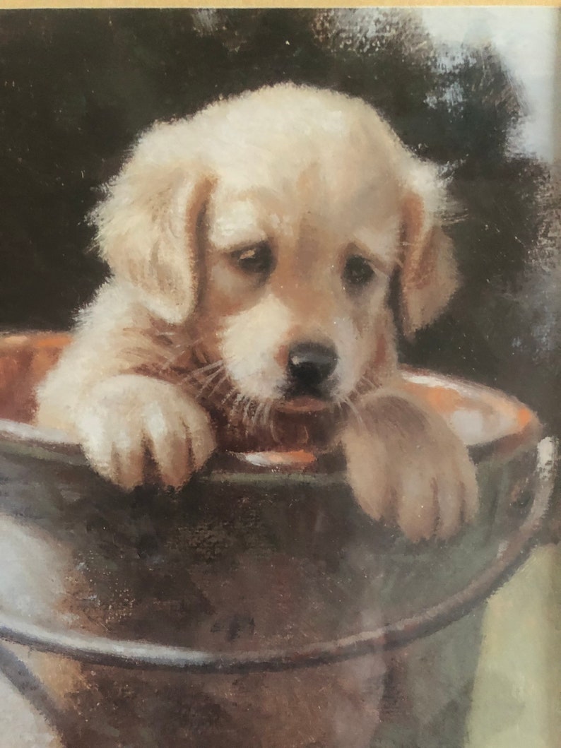 Jim Lamb Art Print bucket Baby Signed Golden Retriever Puppy Print ...