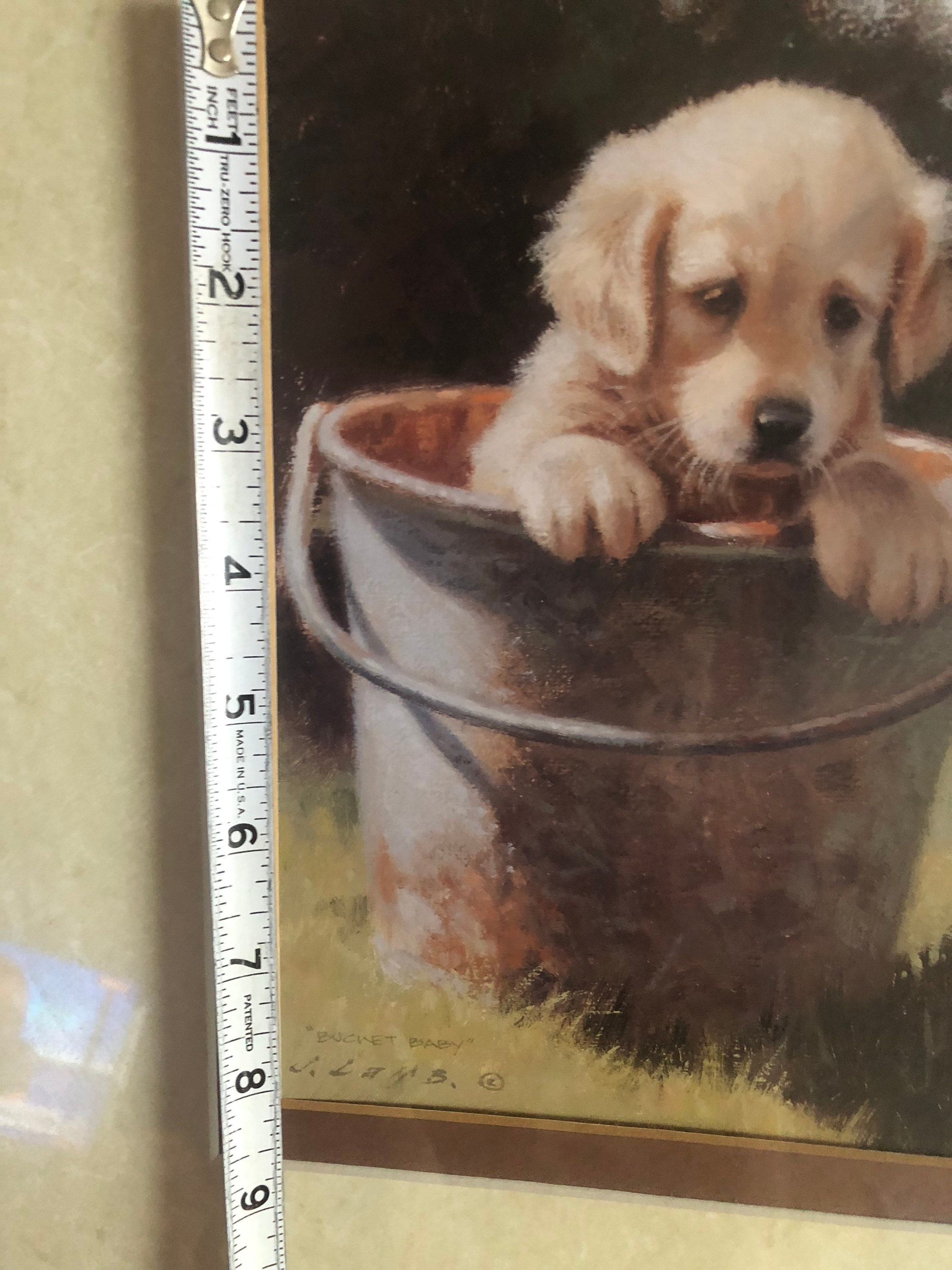 Jim Lamb Art Print bucket Baby Signed Golden Retriever Puppy Print ...