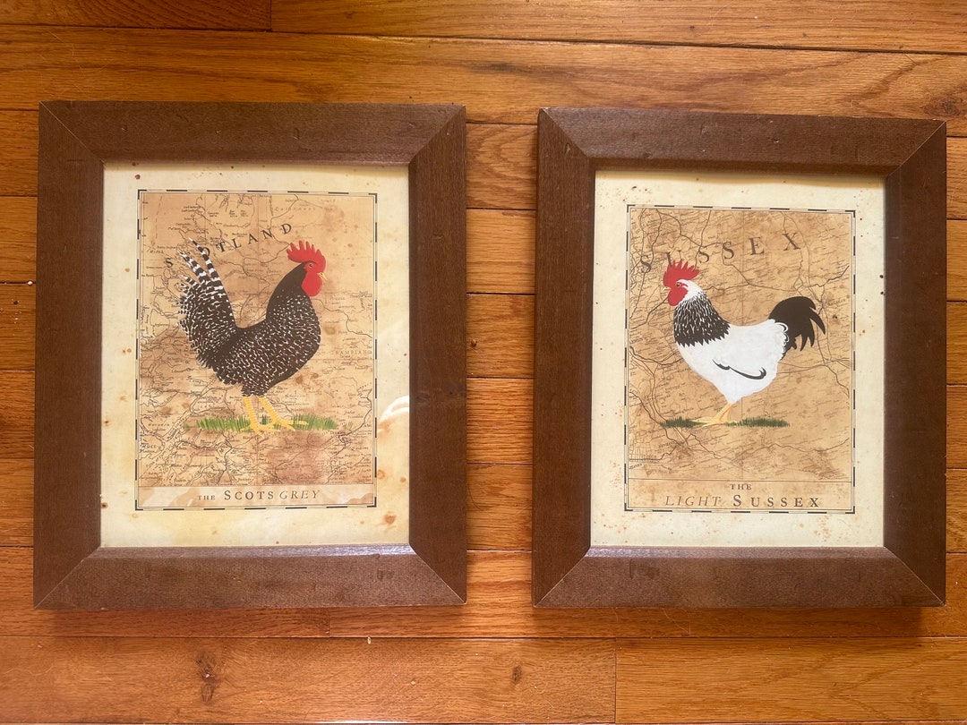 Rooster Prints Set of 2: the Light Sussex French Rooster & the Scots ...