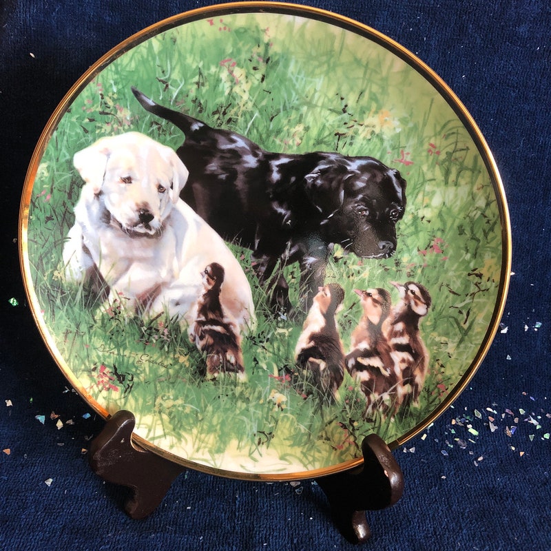 Collectors Plate - Etsy