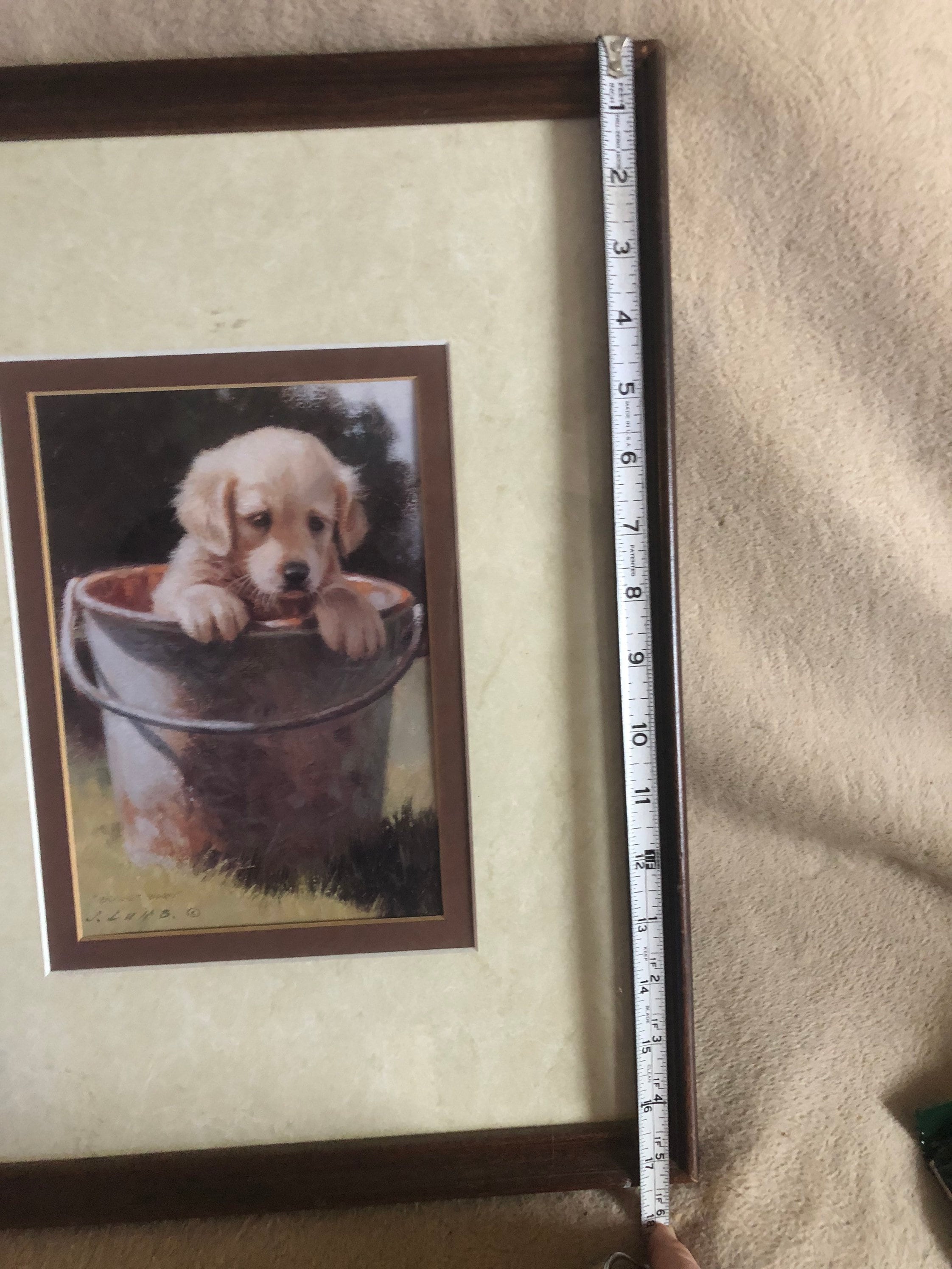 Jim Lamb Art Print bucket Baby Signed Golden Retriever Puppy Print ...