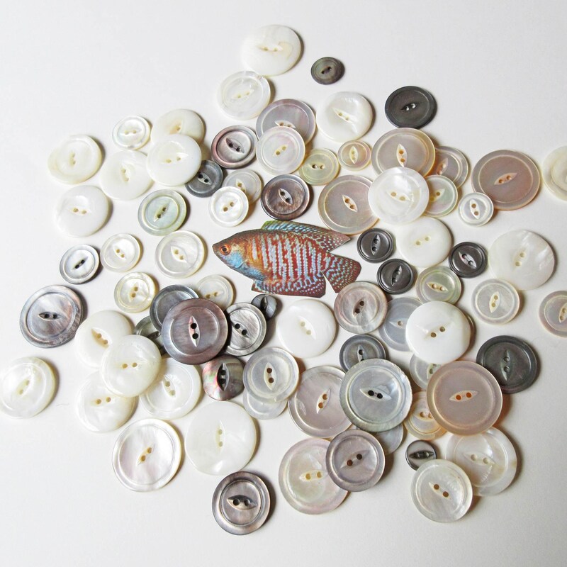 Cat Eye Buttons - Etsy