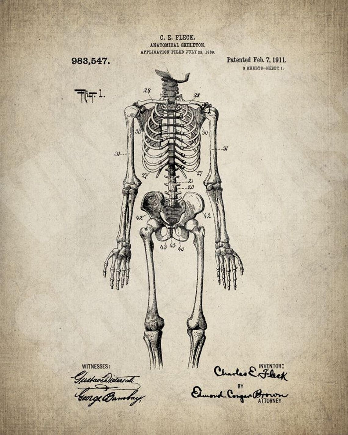 Vintage Skeleton Patent Print - Doctor Gift Medical Art - Skeleton ...