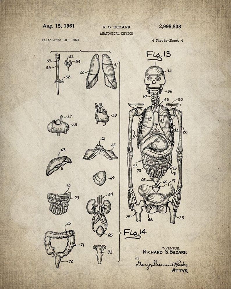 Vintage Skeleton Patent Print - Doctor Gift Medical Art - Skeleton ...