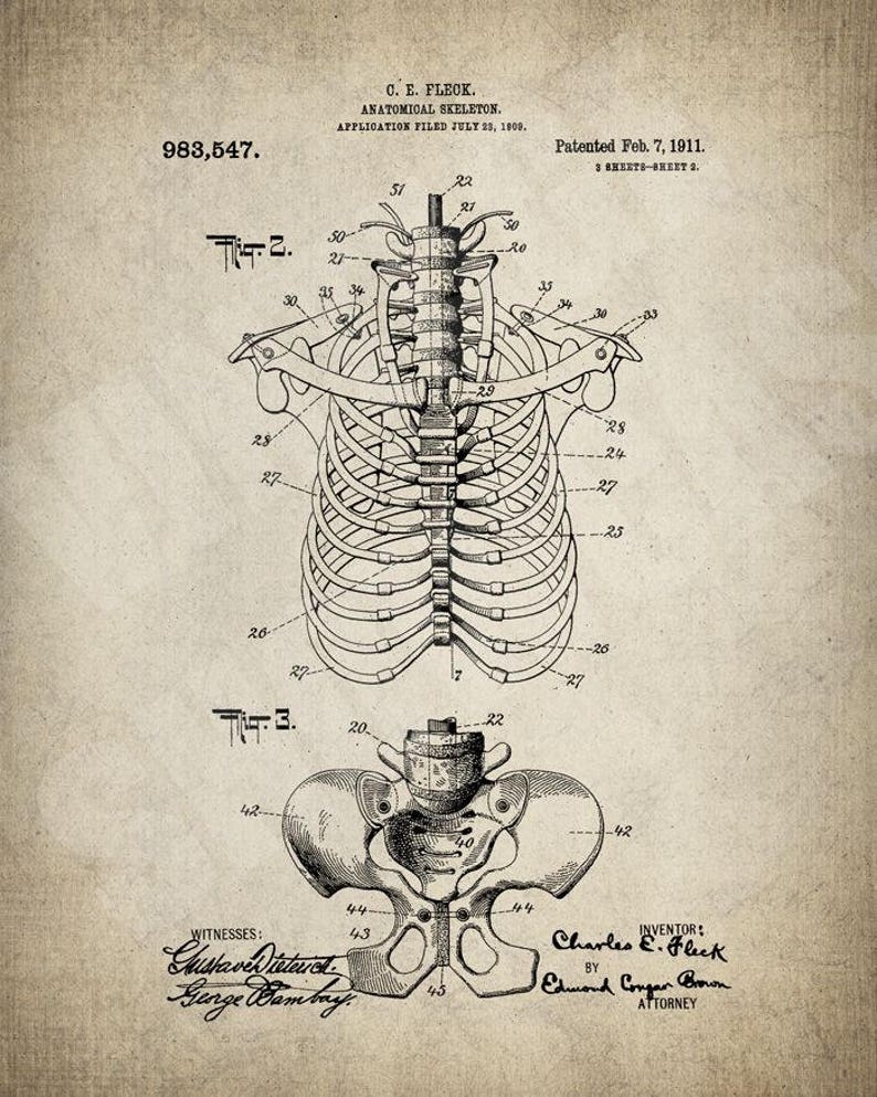Vintage Skeleton Patent Print - Doctor Gift Medical Art - Skeleton ...