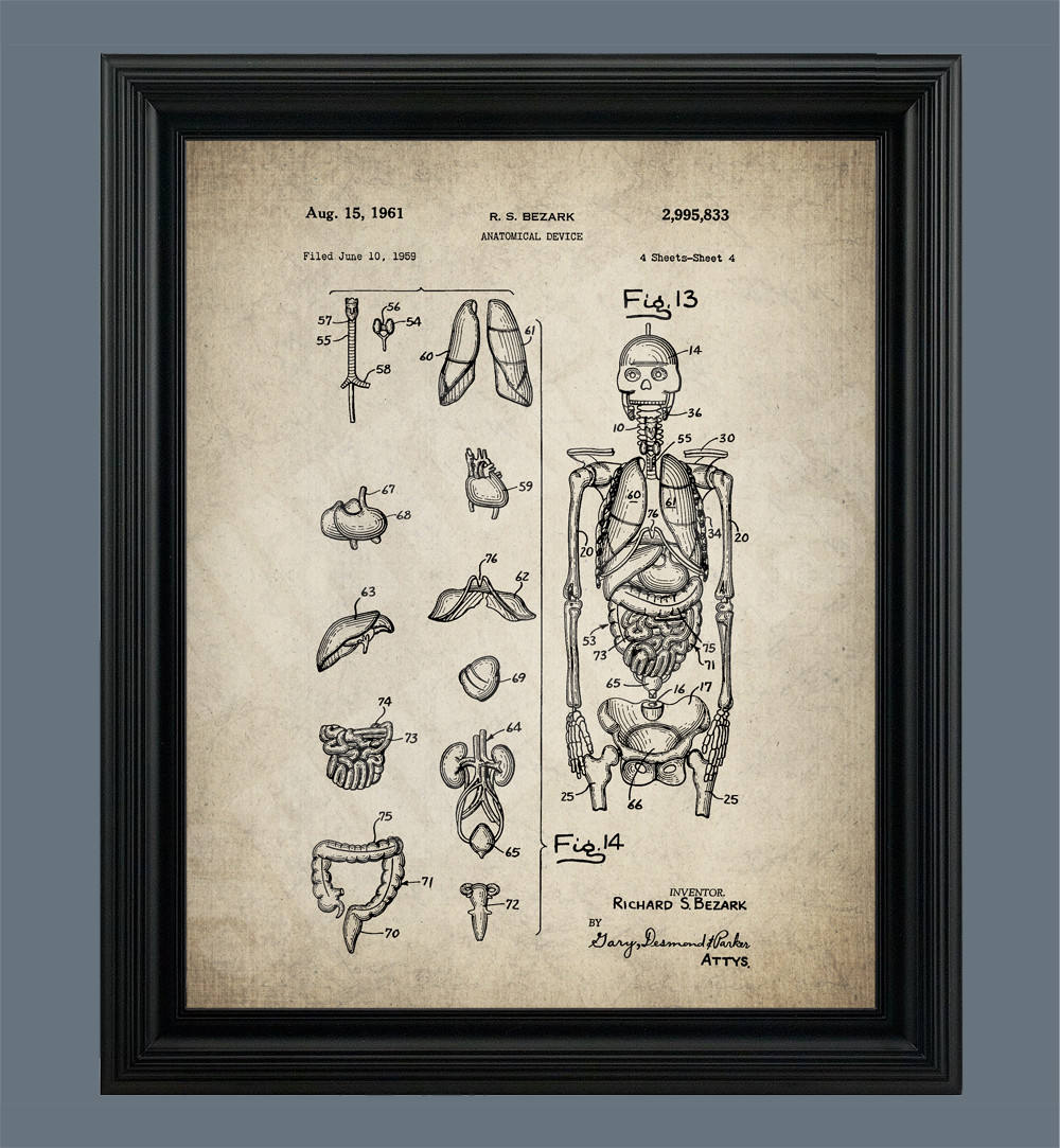 Vintage Skeleton Patent Print Human Bones Skeleton Poster | Etsy