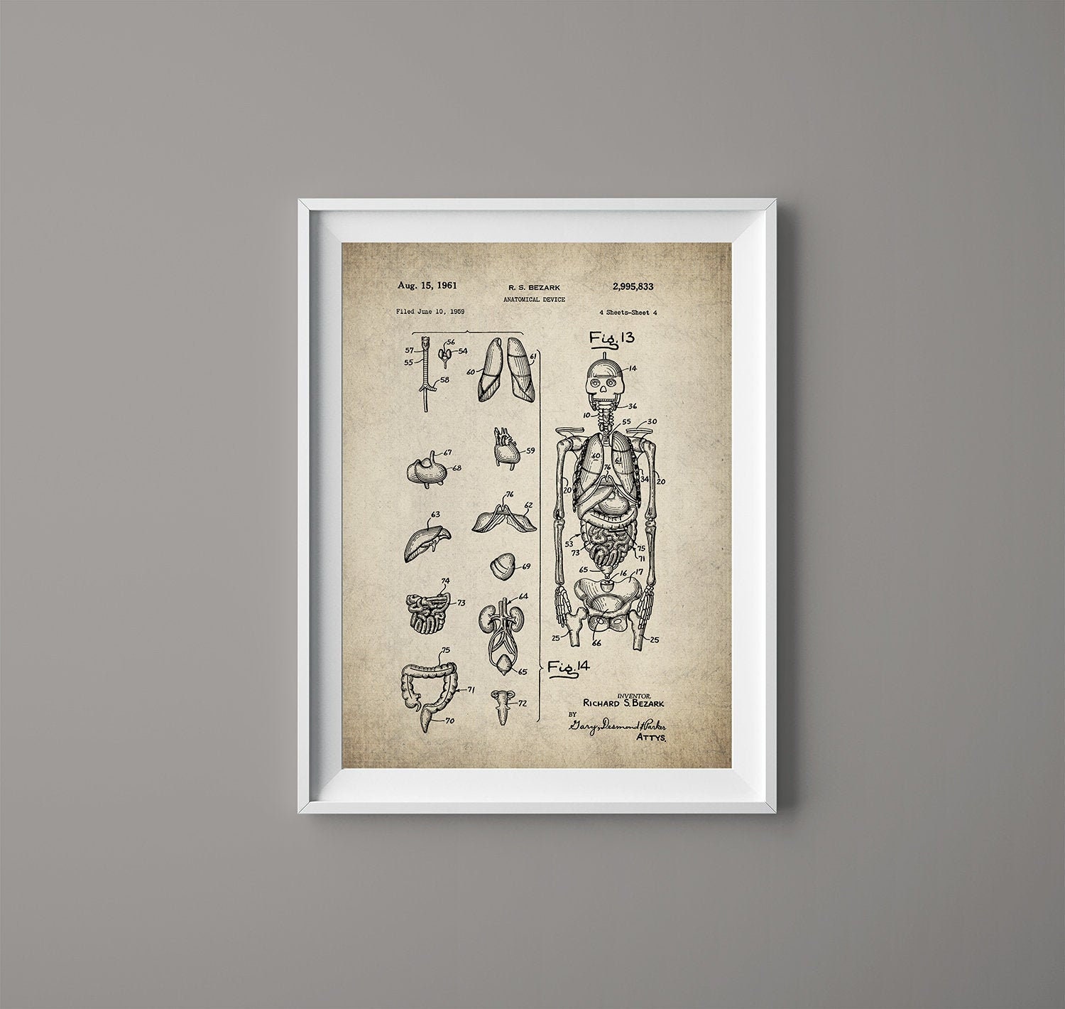 Vintage Skeleton Patent Print Human Bones Skeleton Poster | Etsy