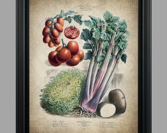 Vegetable print | Etsy