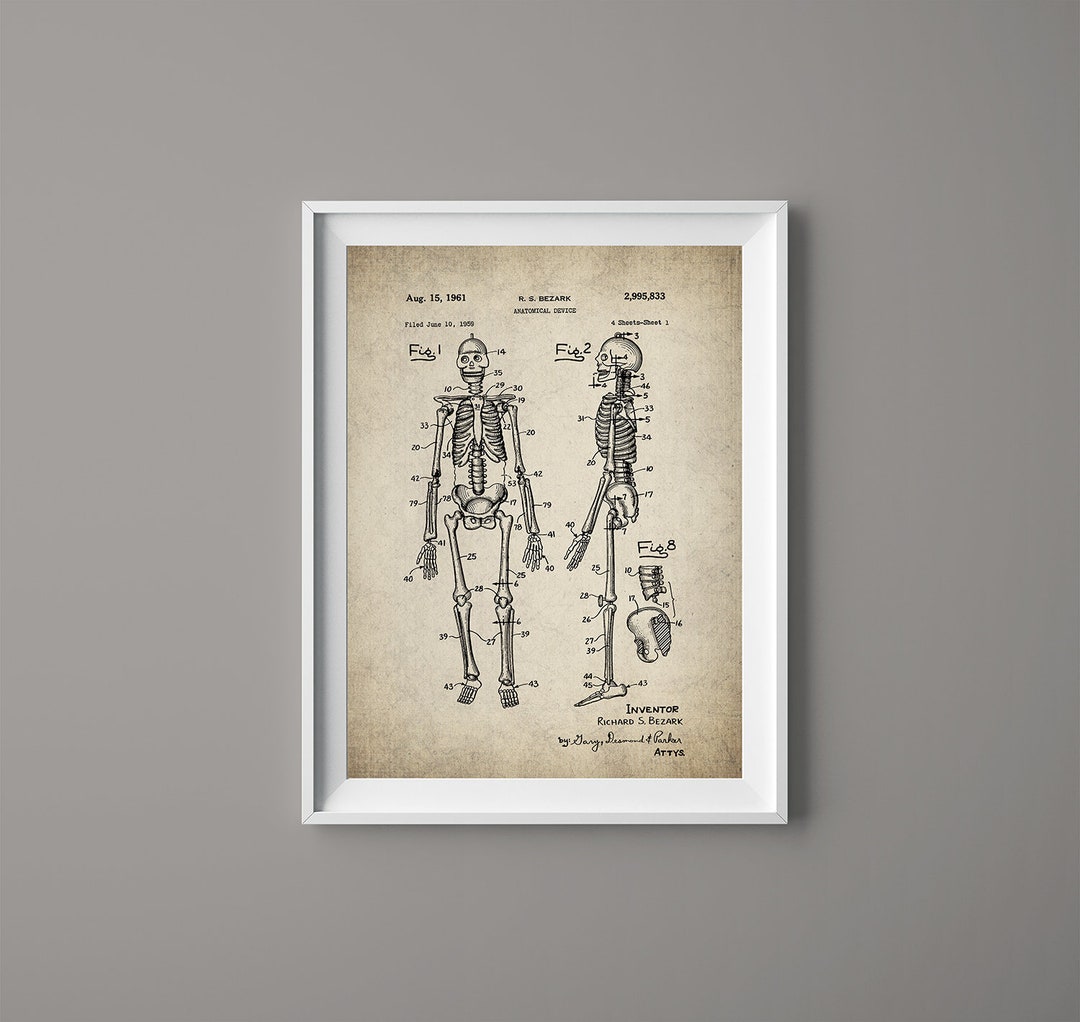 Vintage Skeleton Patent Print - Human Bones- Skeleton Poster ...